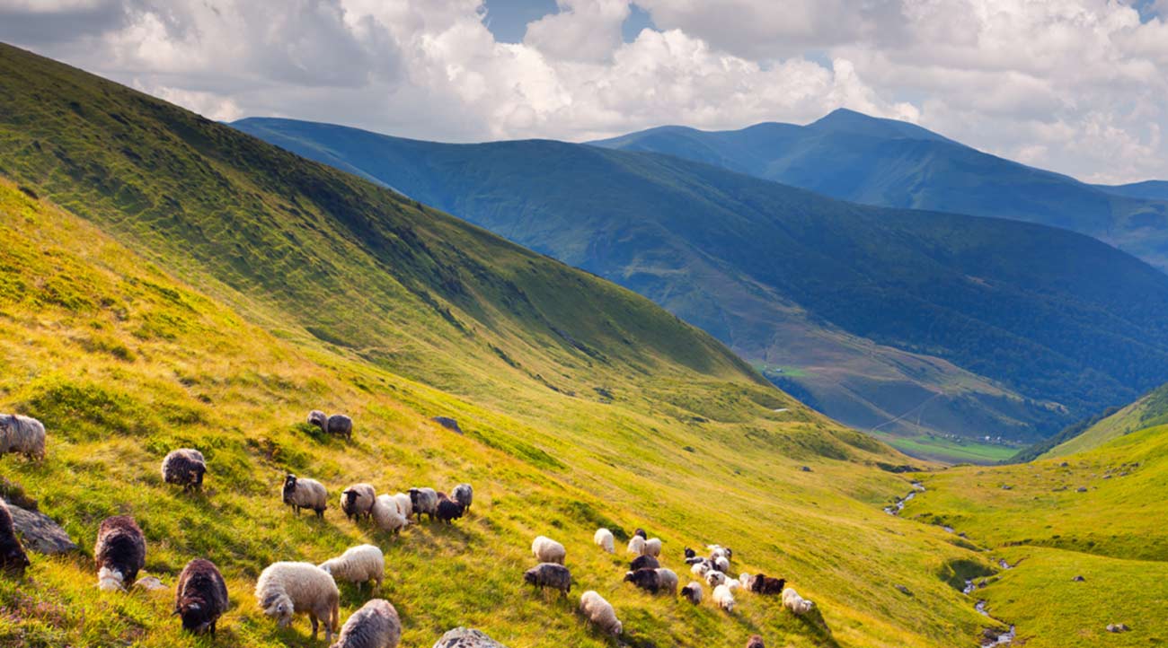 w-the-best-locations-for-a-rural-holiday