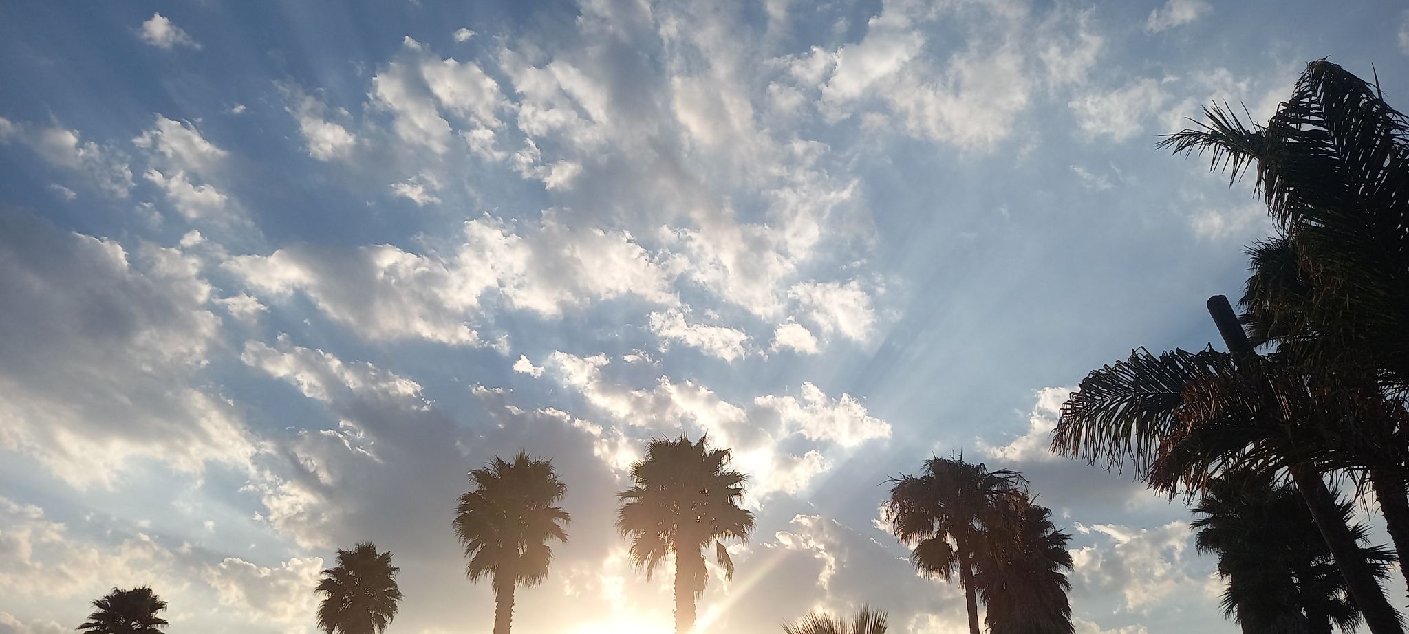 Sesiones de ti: He descubierto tu sabor a sol